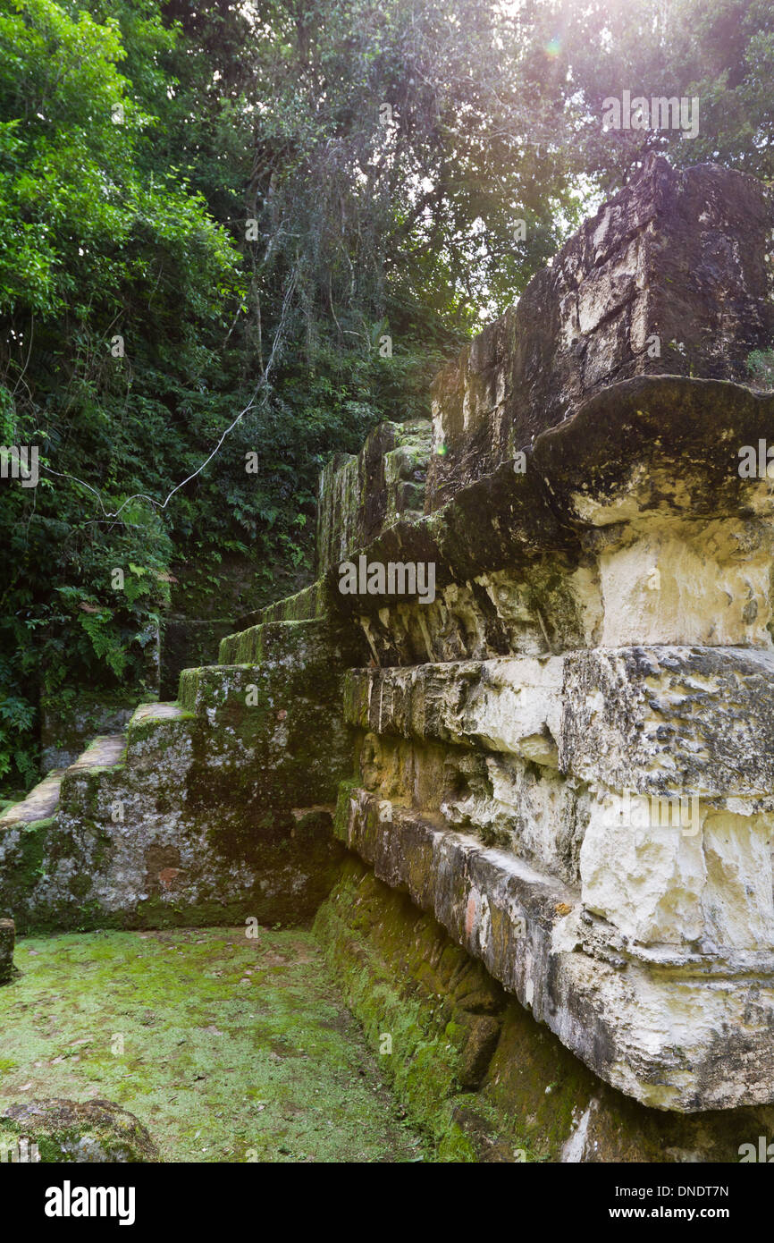 Ancient Mayan ruins in Tikal Guatemala half covered and underground ...