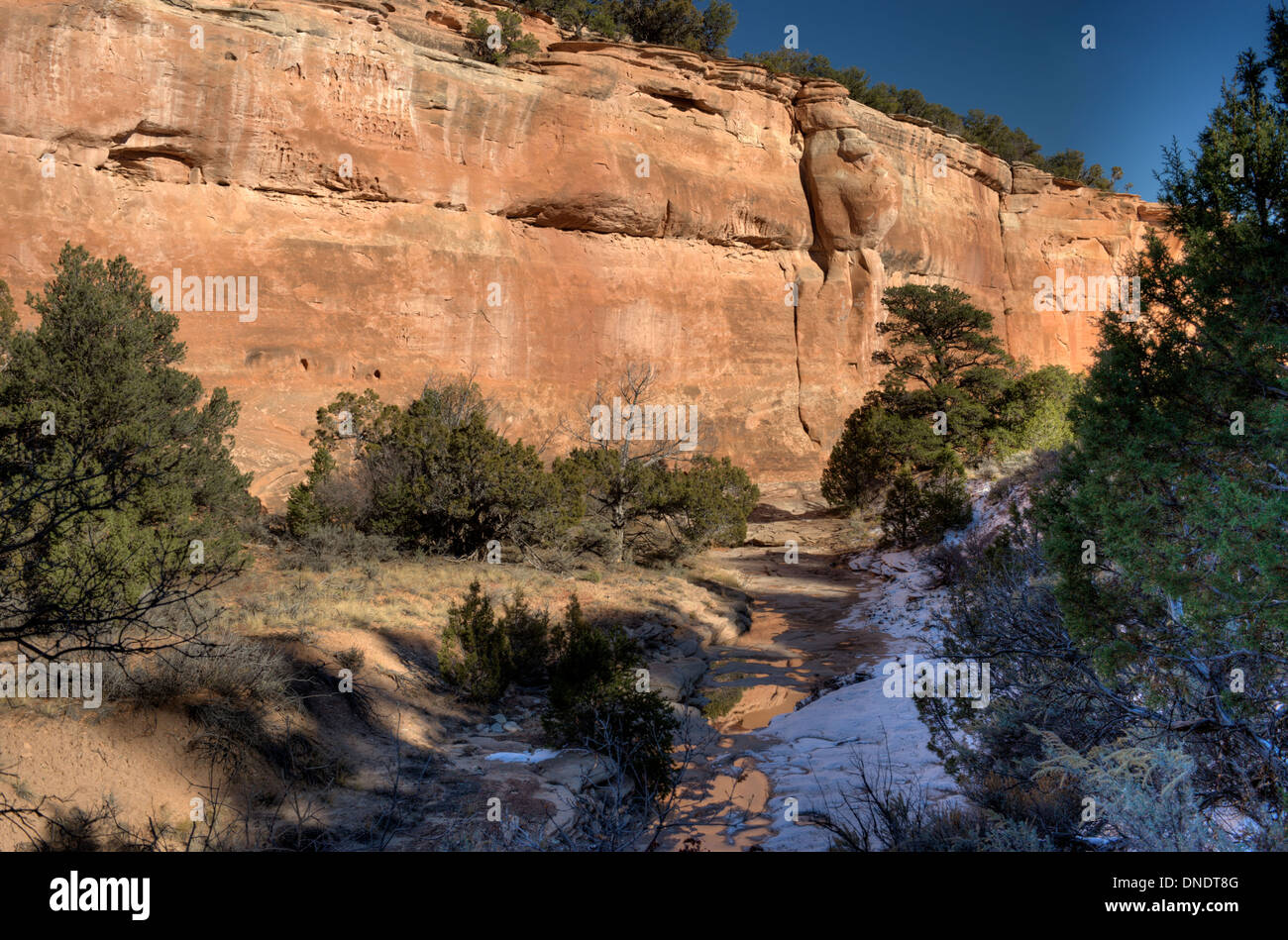 Entrada sandstone cliff, upper Ute Canyon, Colorado National Monument ...