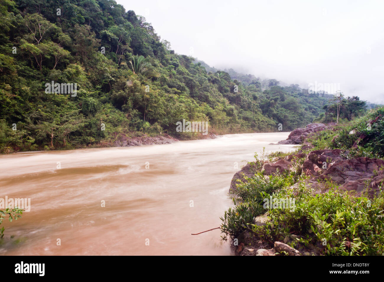 overflowing macal river after severe rain in november 2013 Belize Stock ...