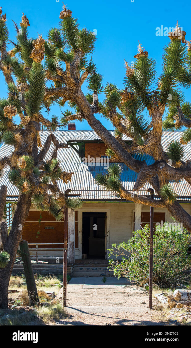 Desert tree house hi-res stock photography and images - Alamy