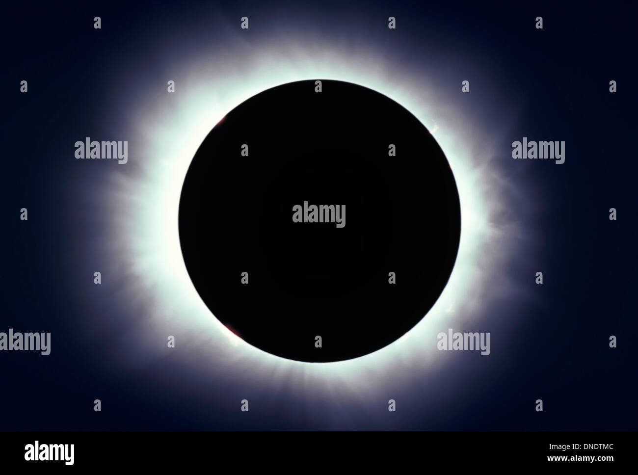February 26, 1979 - Total solar eclipse taken near Carberry, Manitoba ...
