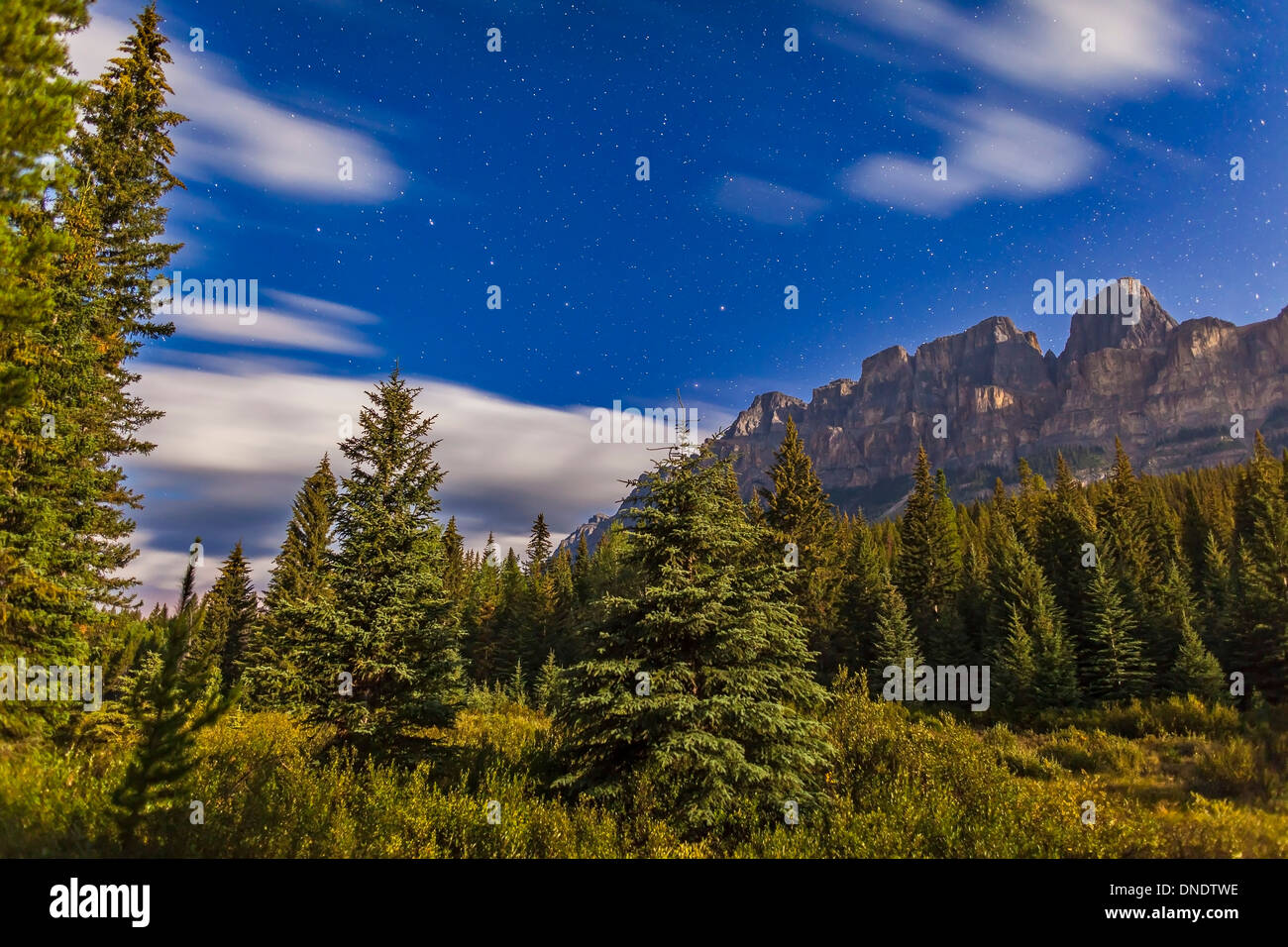 Banff mountain trees hi-res stock photography and images - Alamy