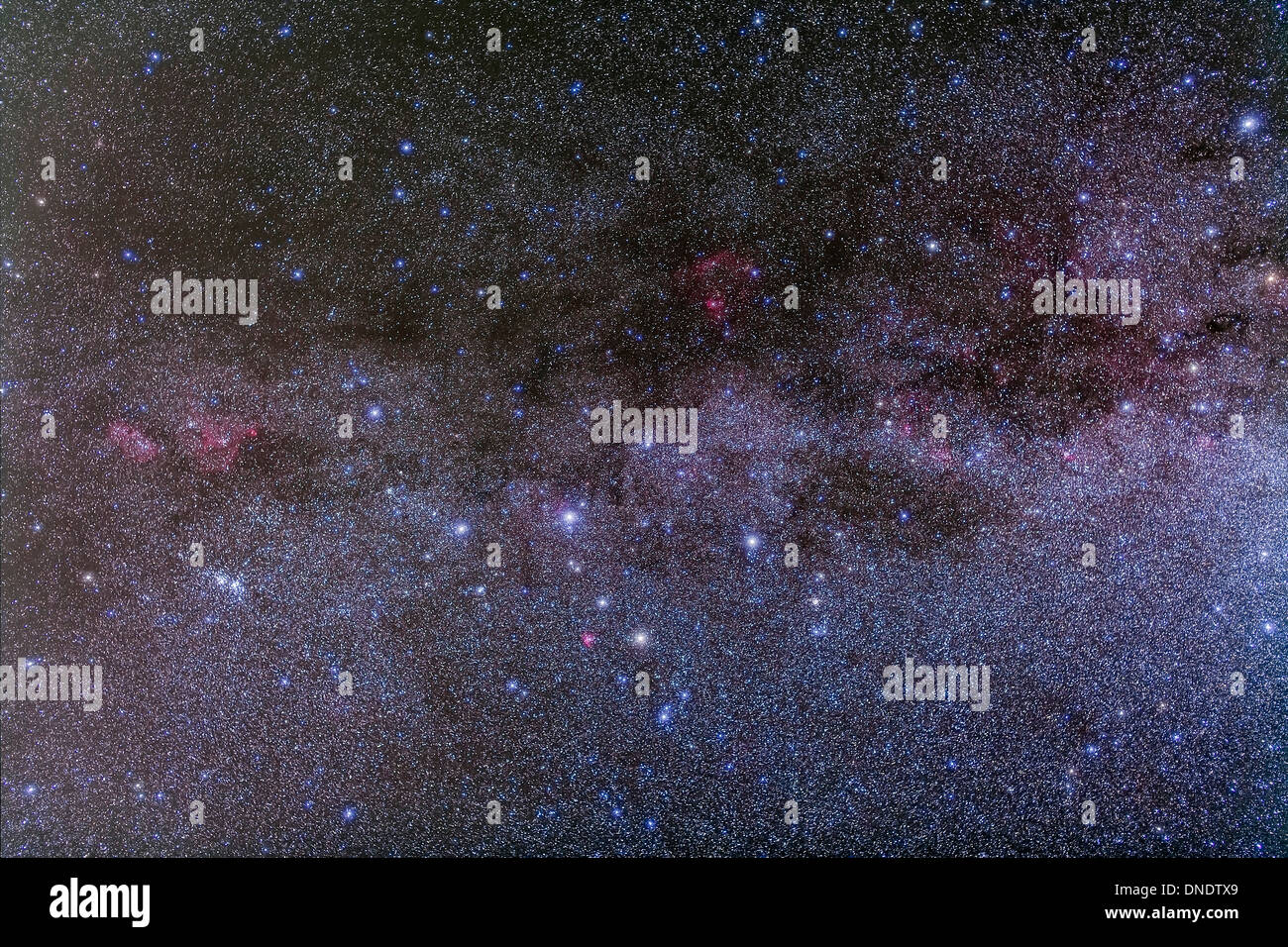 Nebulosity in Cassiopeia showing NGC 7822 (above center), and IC 1805 ...