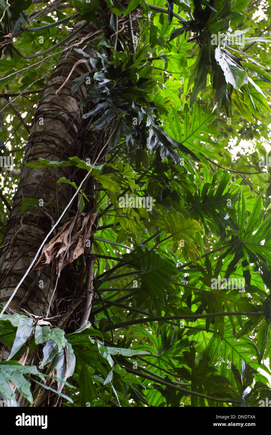 Coexisting different hi-res stock photography and images - Alamy