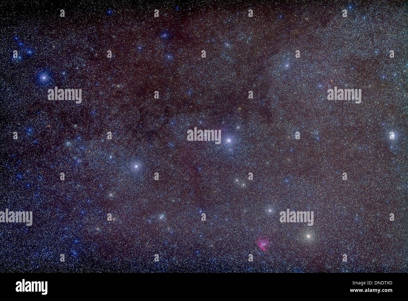 Showing clusters hi-res stock photography and images - Alamy