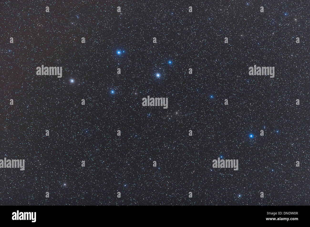 Delphinus constellation hi-res stock photography and images - Alamy