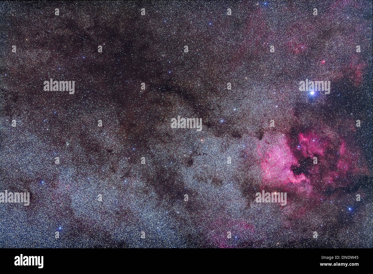 North America Nebula In Cygnus