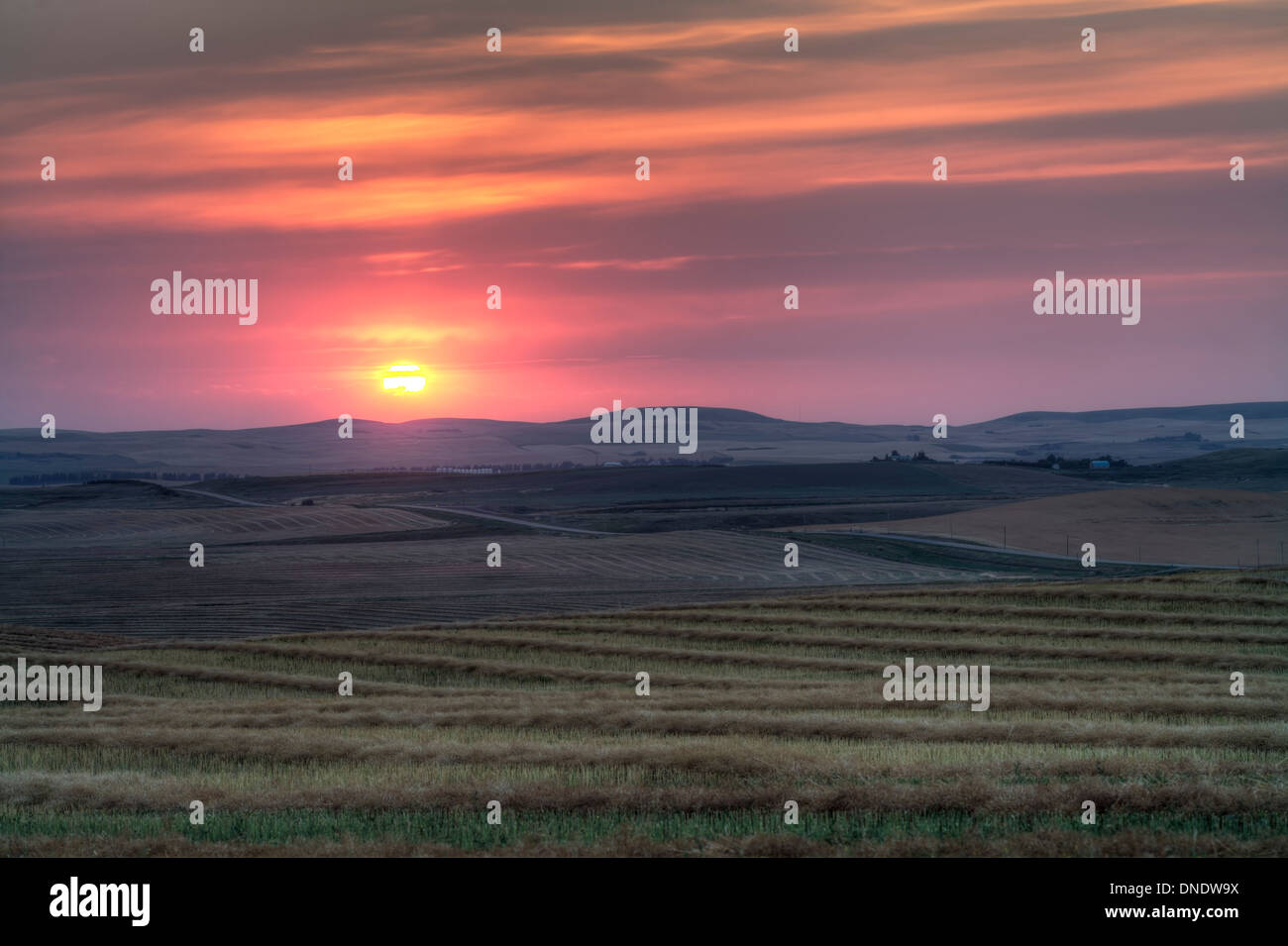 August 31, 2012 - Setting sun over harvested field, Gleichen, Alberta ...