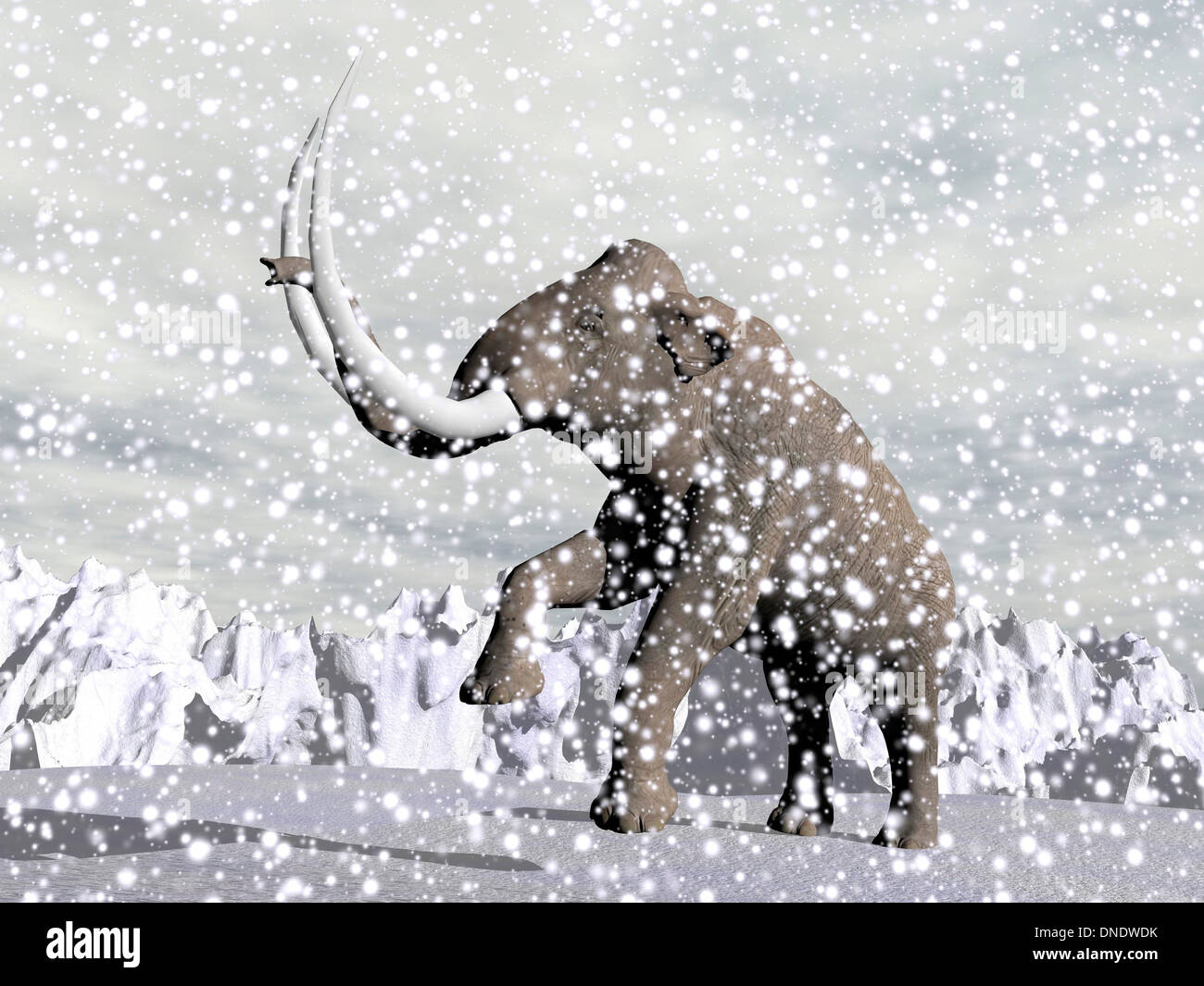 Mammals mammal elephant hoofed animal animals ivory hi-res stock ...