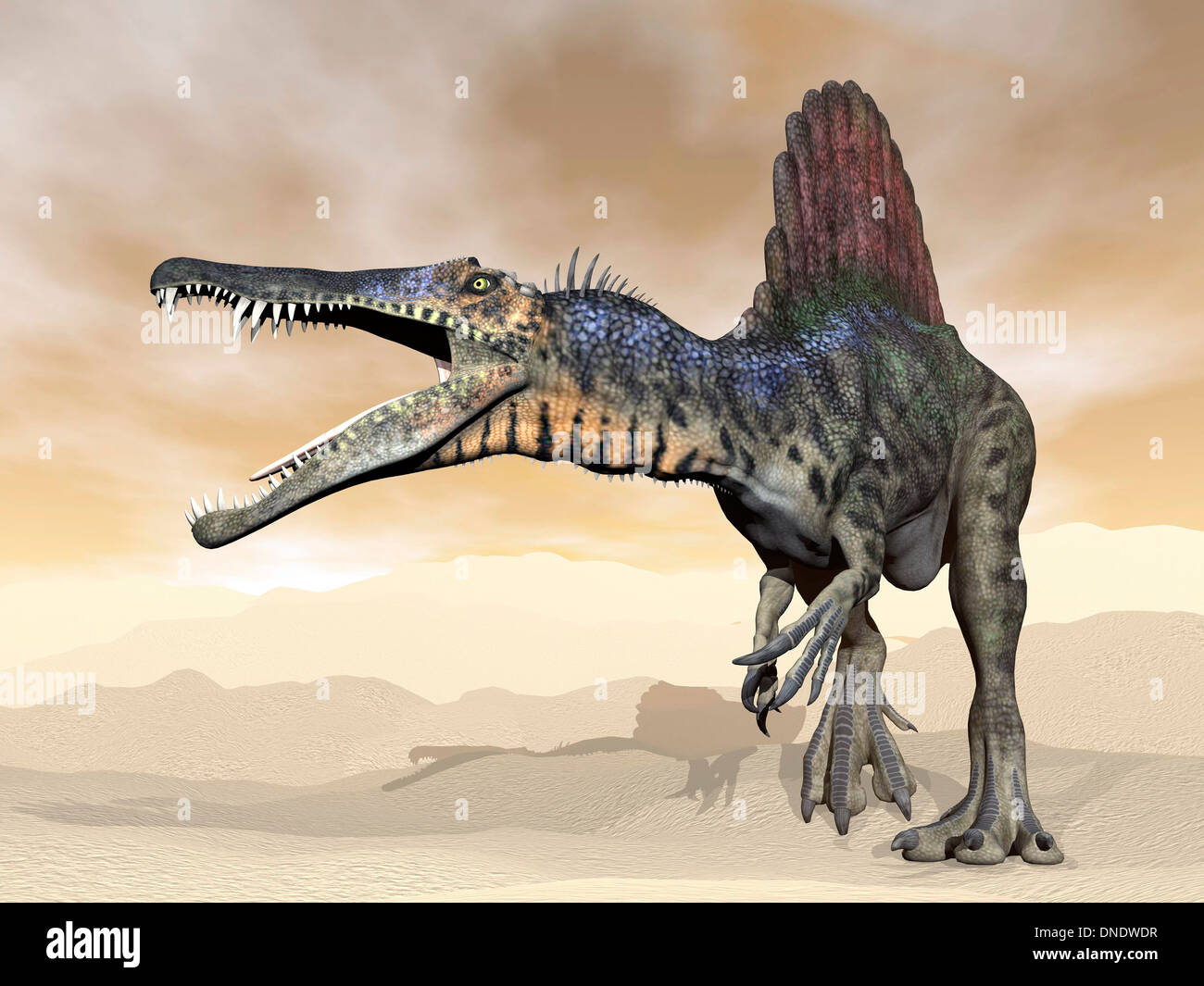 Spinosaurus dinosaur hi-res stock photography and images - Alamy