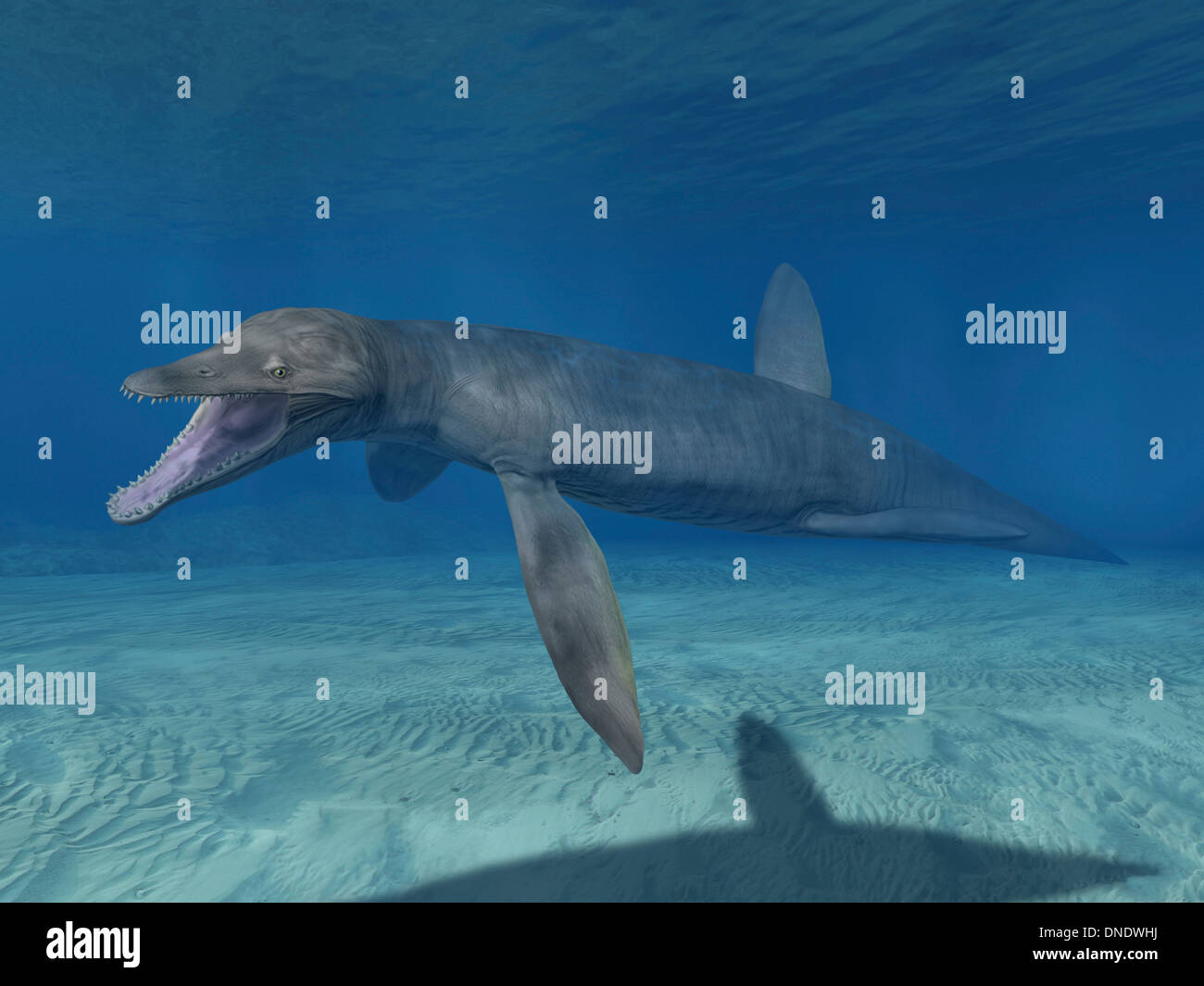 Pliosaur hi-res stock photography and images - Alamy