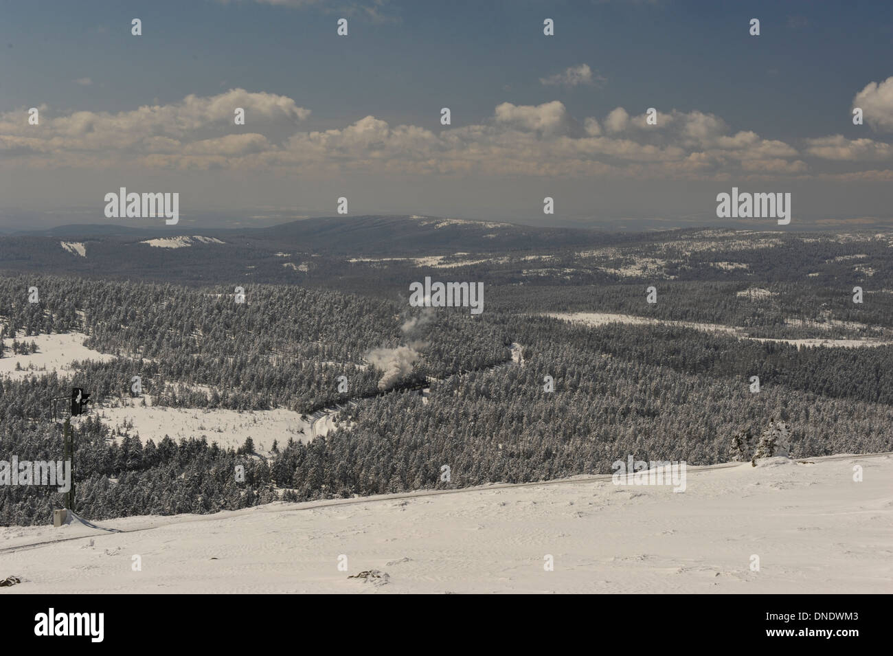 Harz in winter with snow covered trees Stock Photo - Alamy