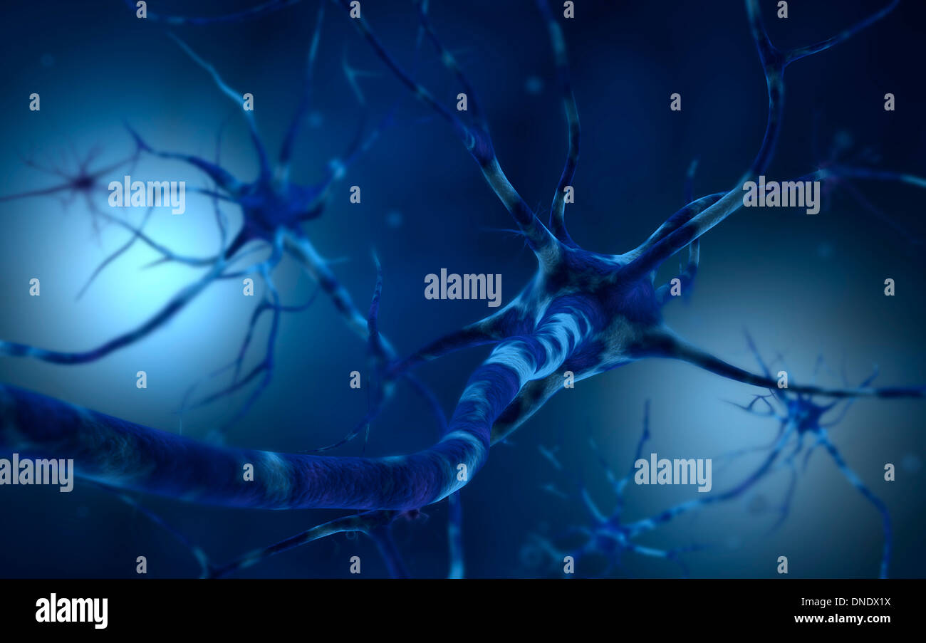 Conceptual image of neuron Stock Photo - Alamy