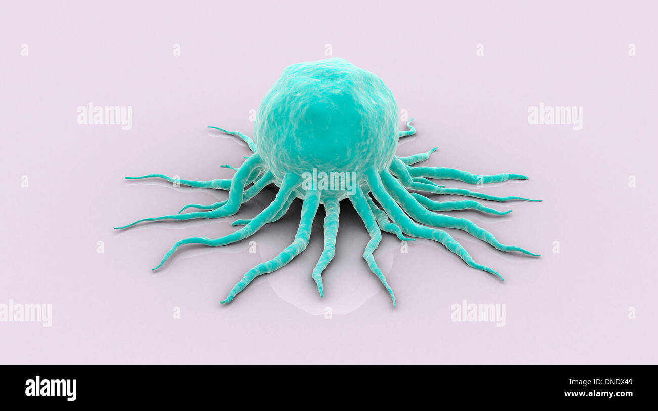 Cancer microbe hi-res stock photography and images - Alamy