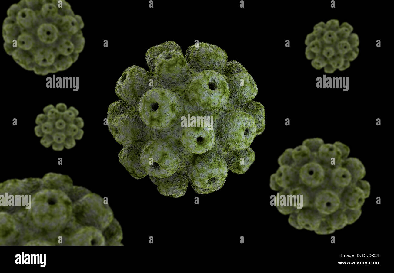 Polyomavirus hi-res stock photography and images - Alamy