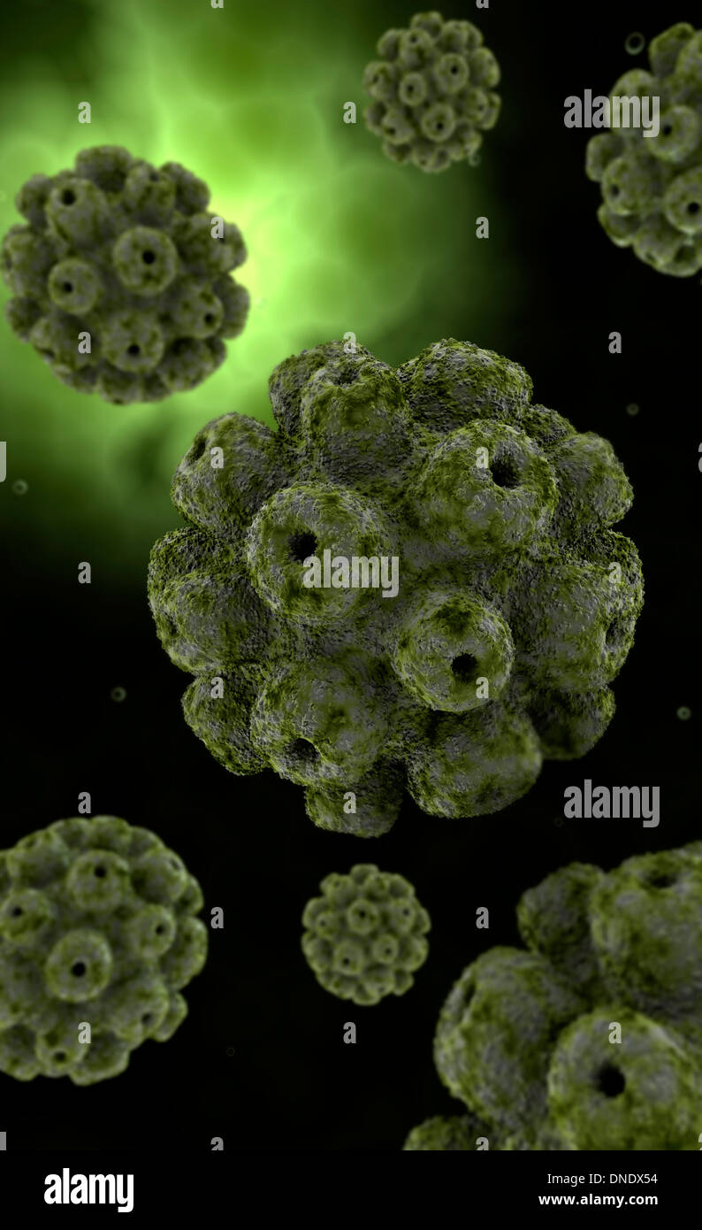 Polyomavirus hi-res stock photography and images - Alamy