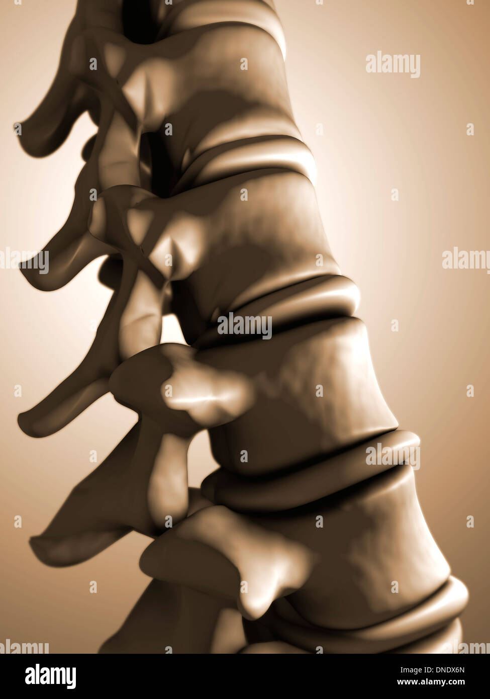Conceptual image of human backbone Stock Photo - Alamy