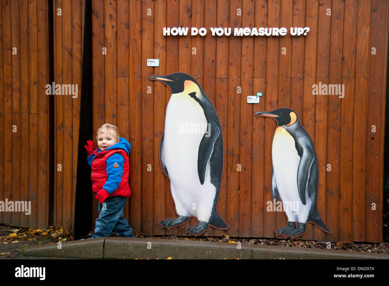 How To Print Life Size Pictures At Home - Design Talk