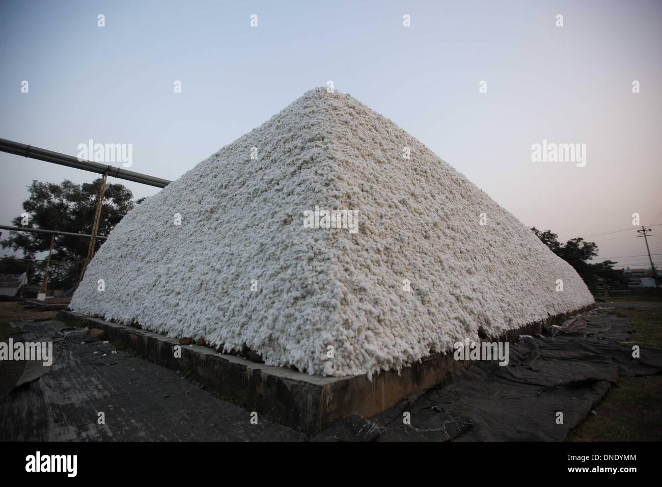 Nagpur, Madhya Pradesh of India. 23rd Dec, 2013. A pile of cotton is ...