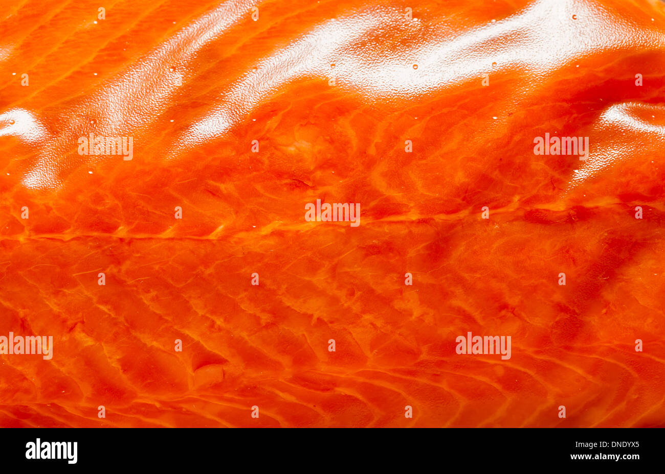 Closeup macro of fresh salmon. Red fish redfish raw meat as food ...