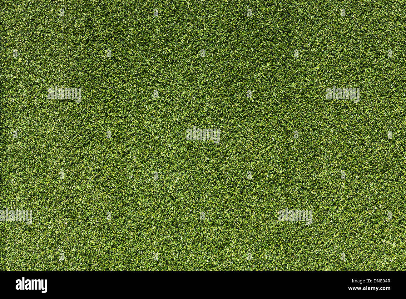 Green grass floor texture hi-res stock photography and images - Alamy