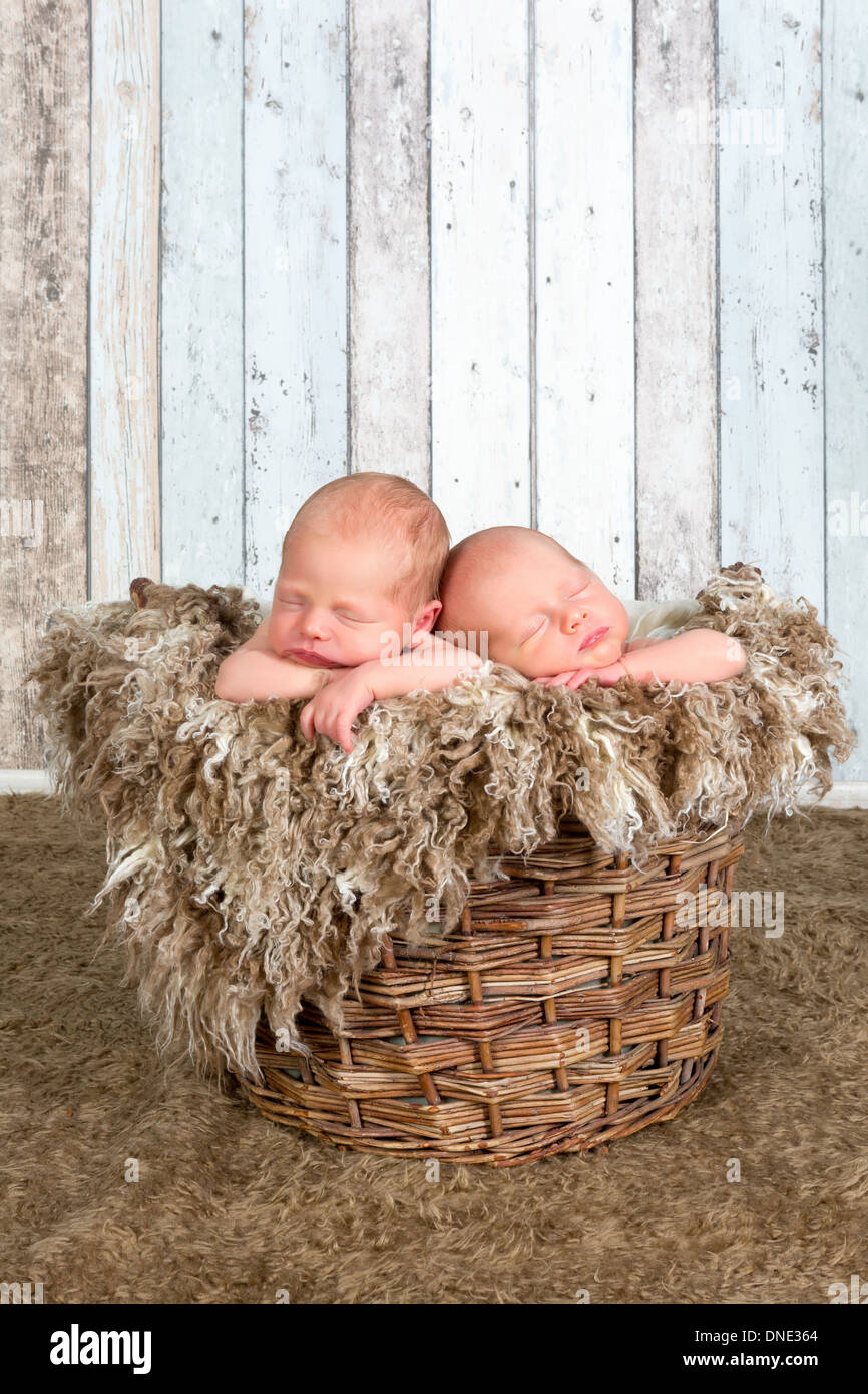 Two days old newborn baby hi-res stock photography and images - Alamy
