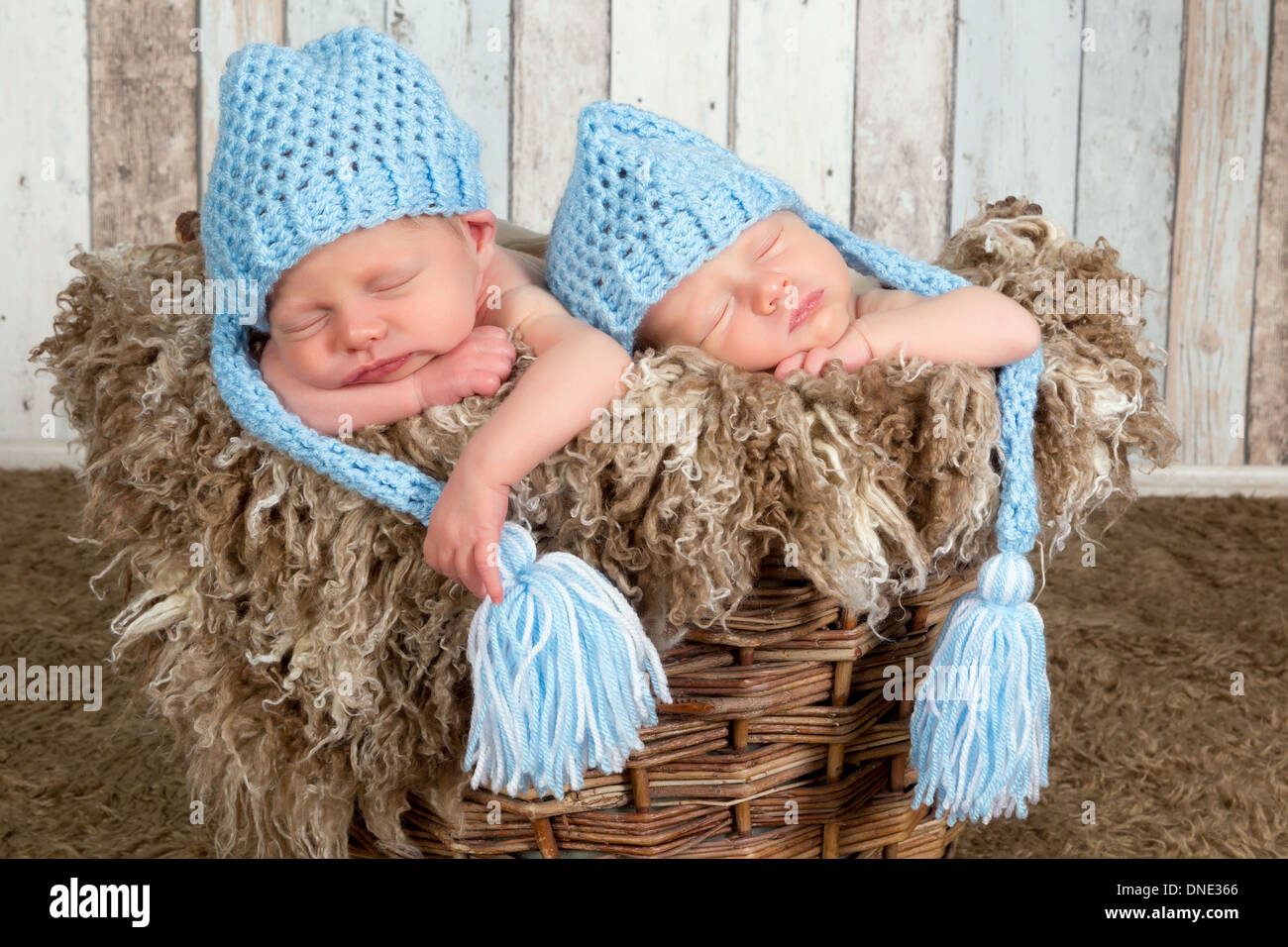 Ten days old newborn twin babies asleep together Stock Photo - Alamy