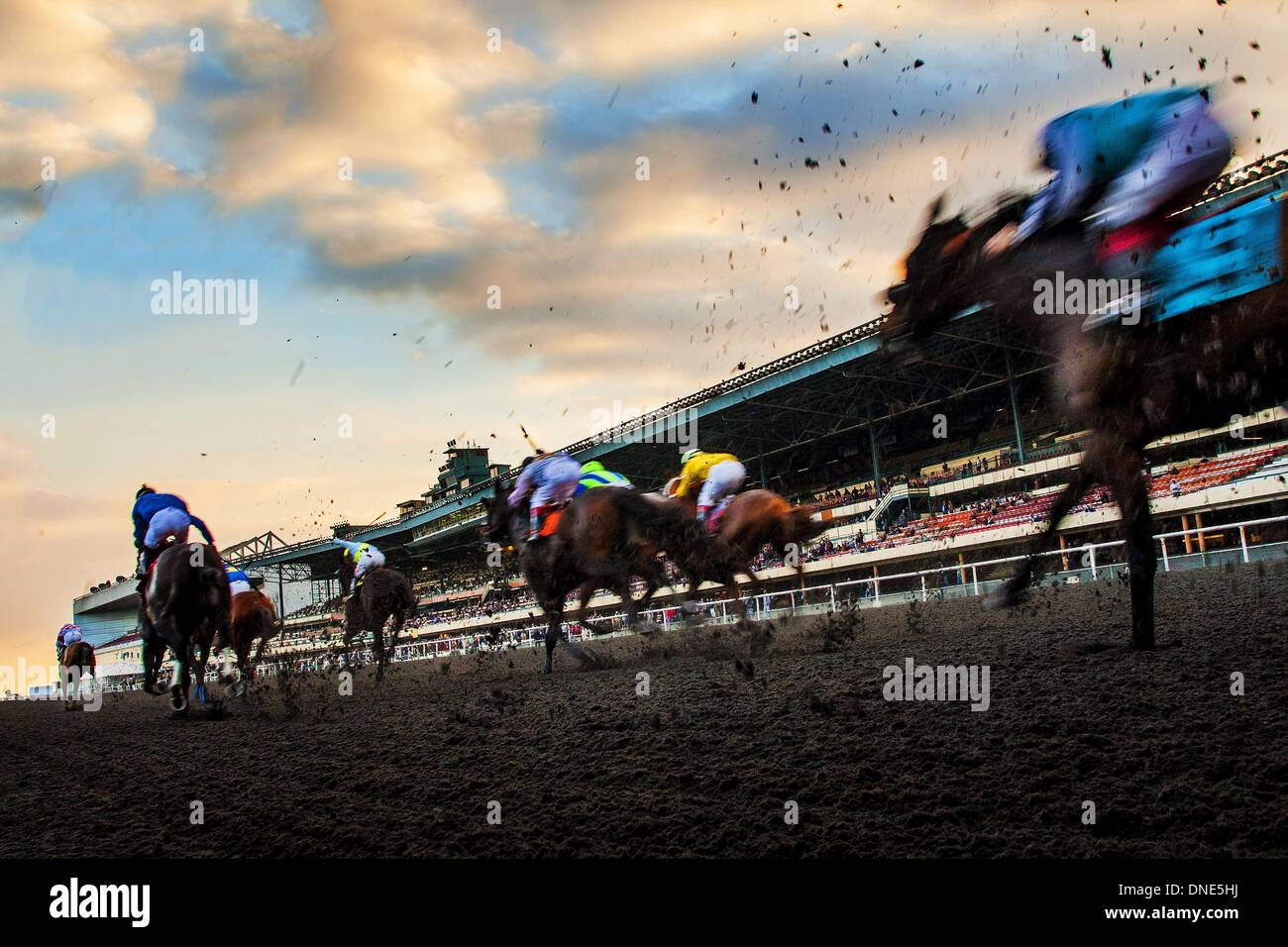 Hollywood park race track hi-res stock photography and images - Alamy