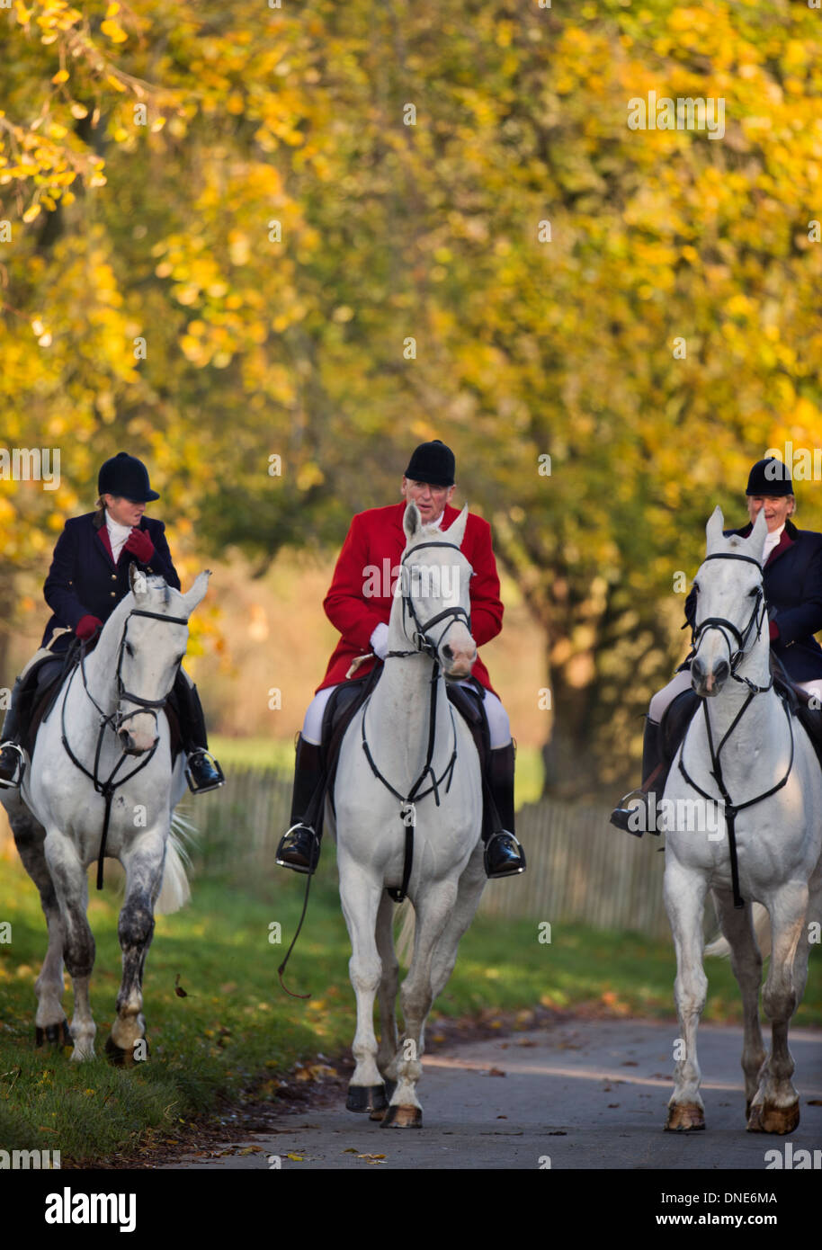 Master of fox hunt hi-res stock photography and images - Alamy