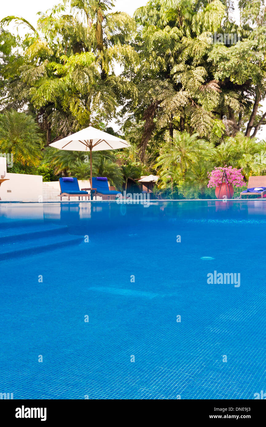 beautiful tropical swimming pool in the rain forest of Belize Stock ...