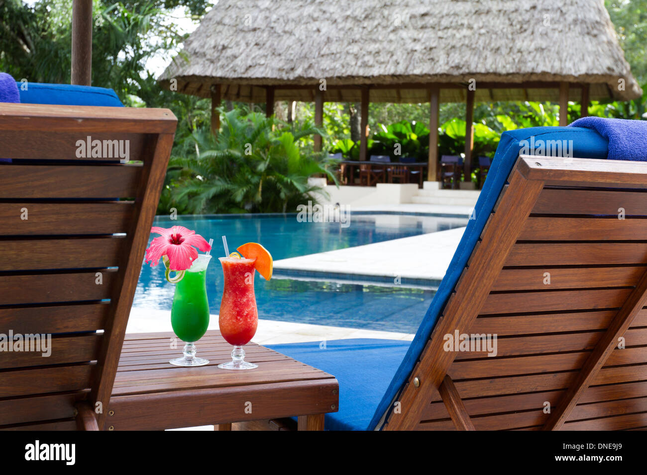 fresh tropical juice cocktail served pool side in Belize Stock Photo ...