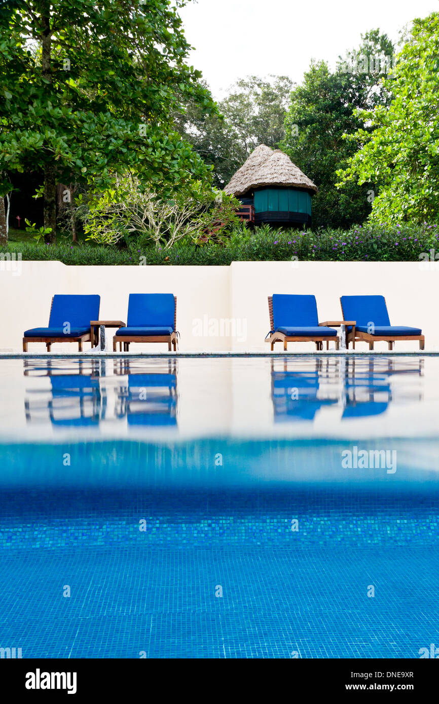 beautiful tropical swimming pool in the rain forest of Belize Stock ...