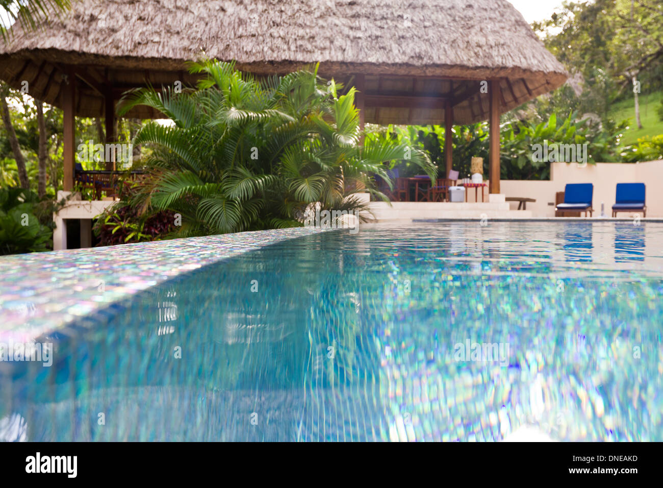 beautiful tropical swimming pool in the rain forest of Belize Stock ...