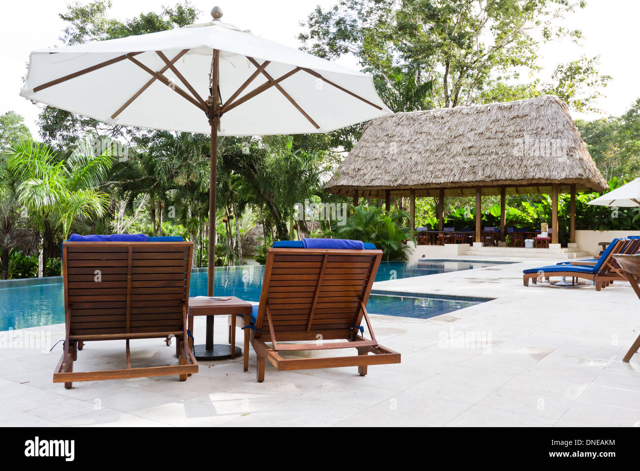 beautiful tropical swimming pool in the rain forest of Belize Stock ...