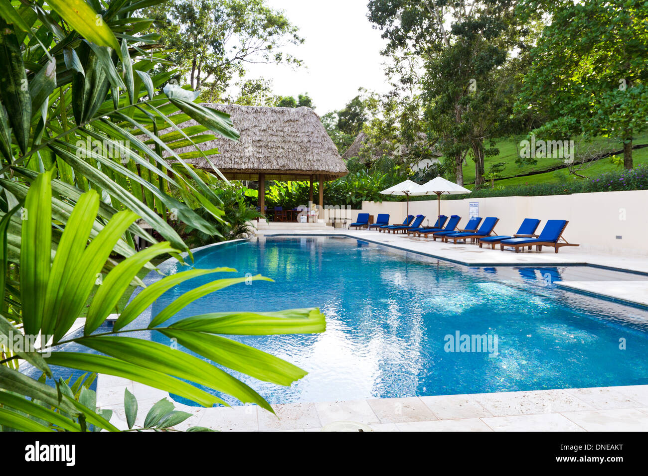 beautiful tropical swimming pool in the rain forest of Belize Stock ...