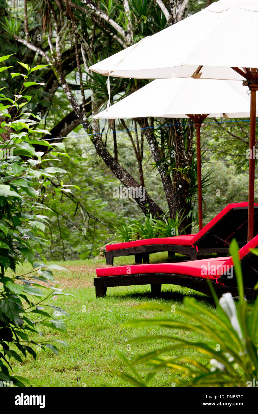 lounge chairs in the rain forest of Belize with surrounding lush ...