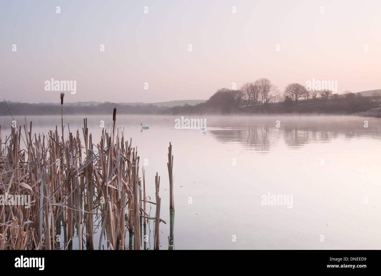 Lower Tamar Lake, Cornwall, UK Stock Photo - Alamy