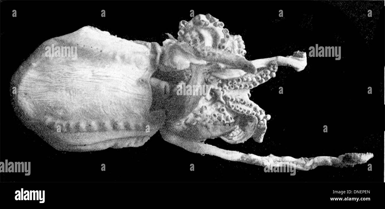 Change the color Black and White Stock Photos & Images - Alamy