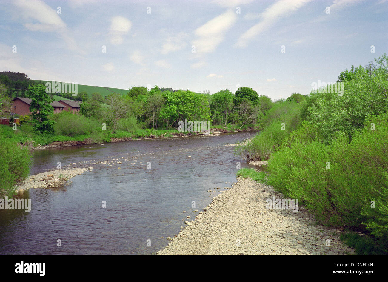 Ettrick Water, Ettrick Valley, Selkirk, Borders, Scotland, UK Stock ...
