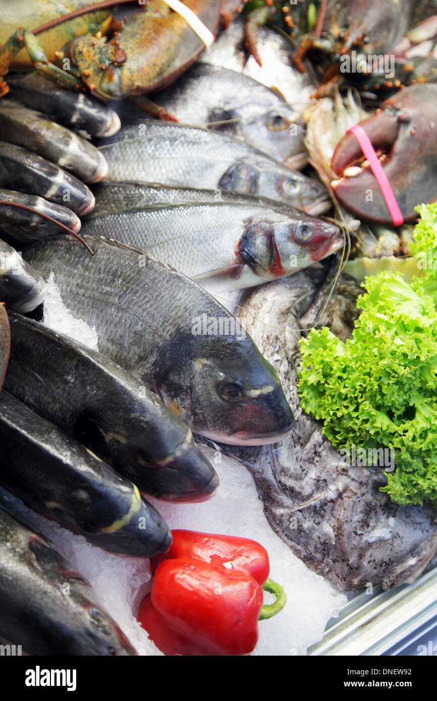 fresh fish on the counter in the restaurant Stock Photo - Alamy