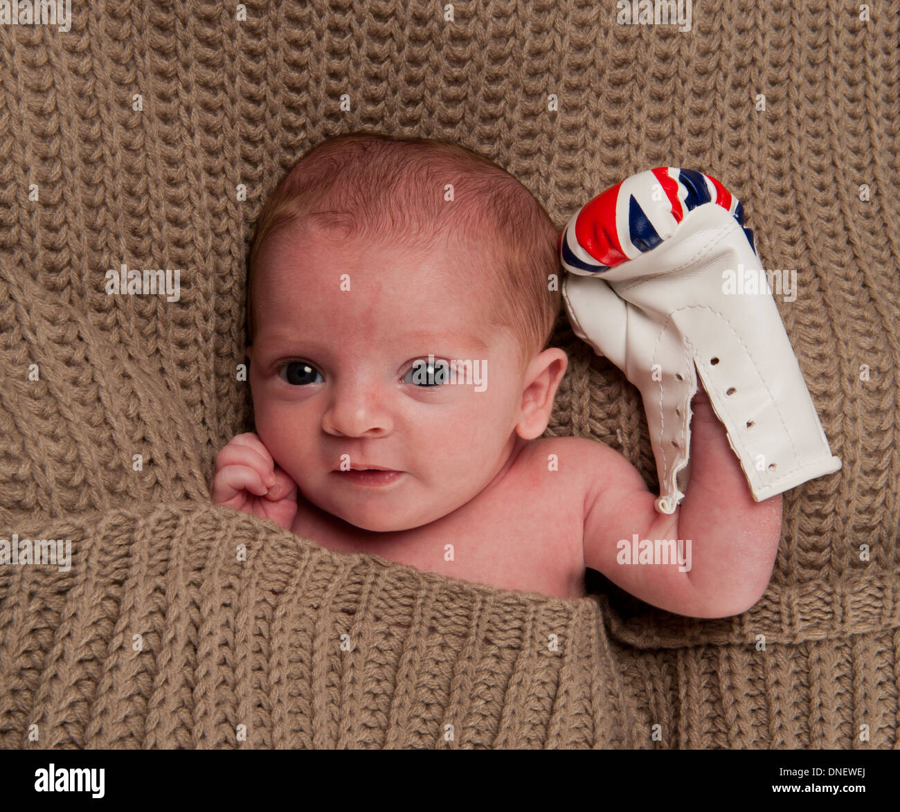 Baby boxing hi-res stock photography and images - Alamy