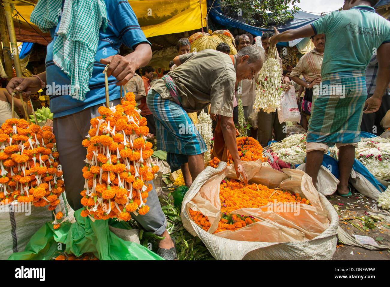 Mallick Ghat Flower Market - Calcutta (Kolkata), India Stock Photo - Alamy