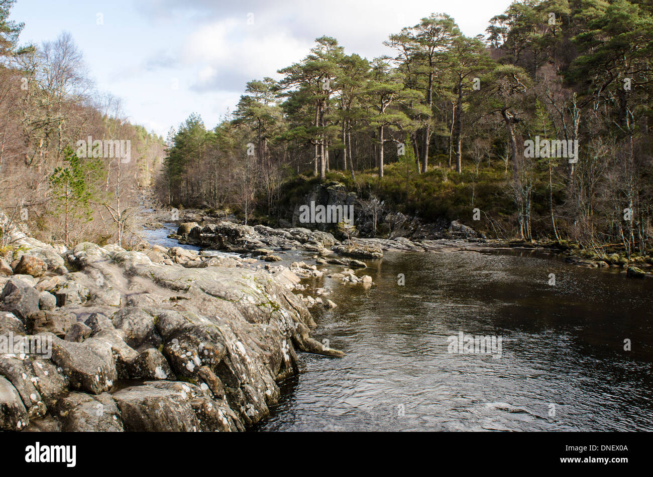 Landscape view of river, rocks and surrounding pine trees Stock Photo ...