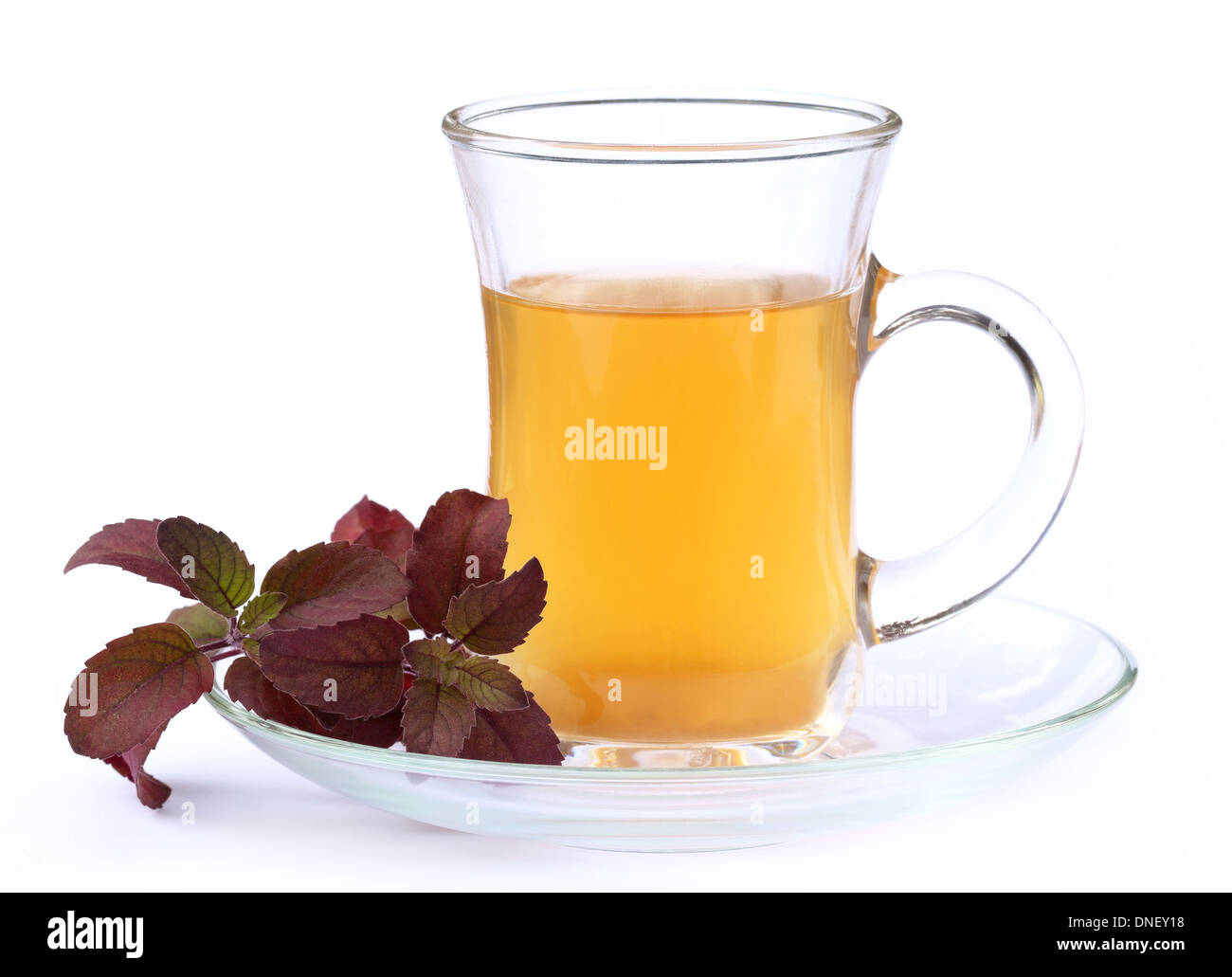 Cup of herbal tea with red tulsi leaves over white background Stock ...