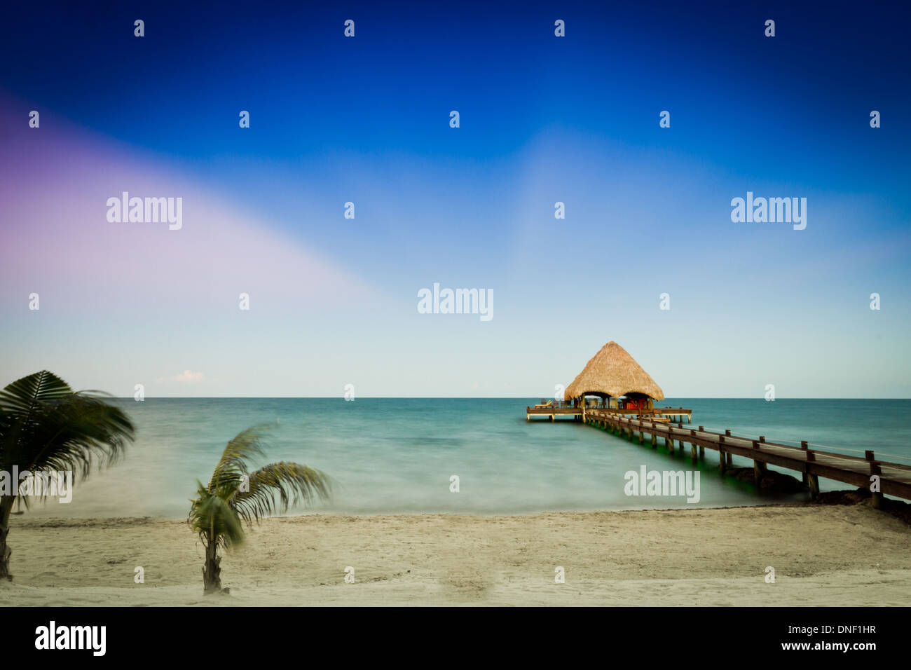 tropical beach in Belize, clear blue water and palm trees Stock Photo ...