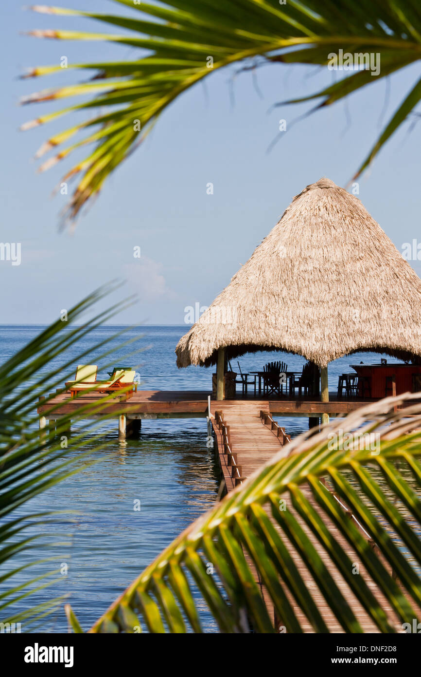 beautiful relaxing beach in a tropical calm part of Belize Stock Photo ...