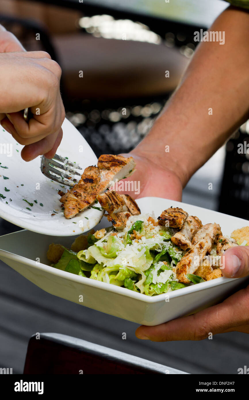 closeup of a servers hands serving a salad in a white bowl Stock Photo ...