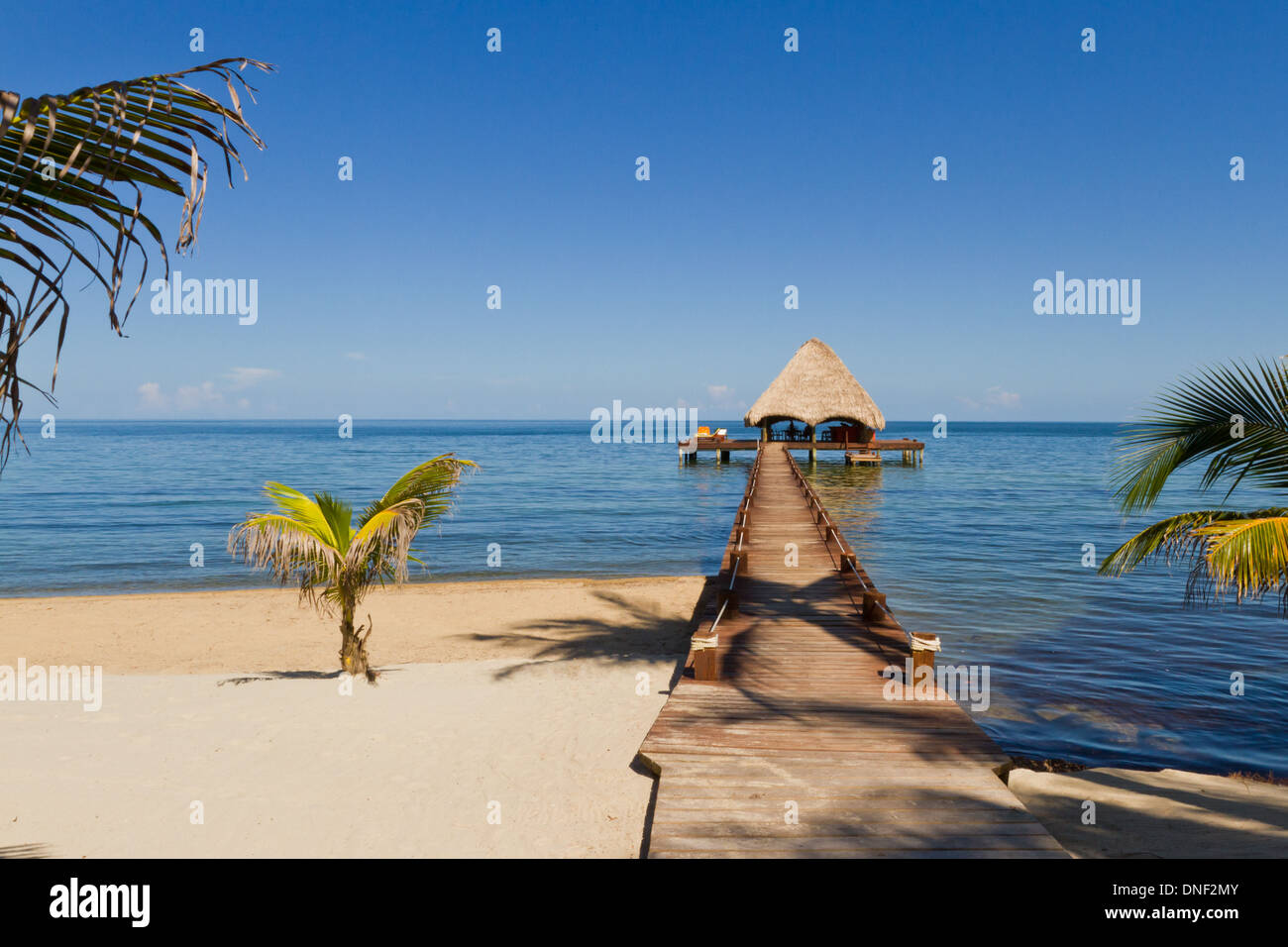 beautiful relaxing beach in a tropical calm part of Belize Stock Photo ...