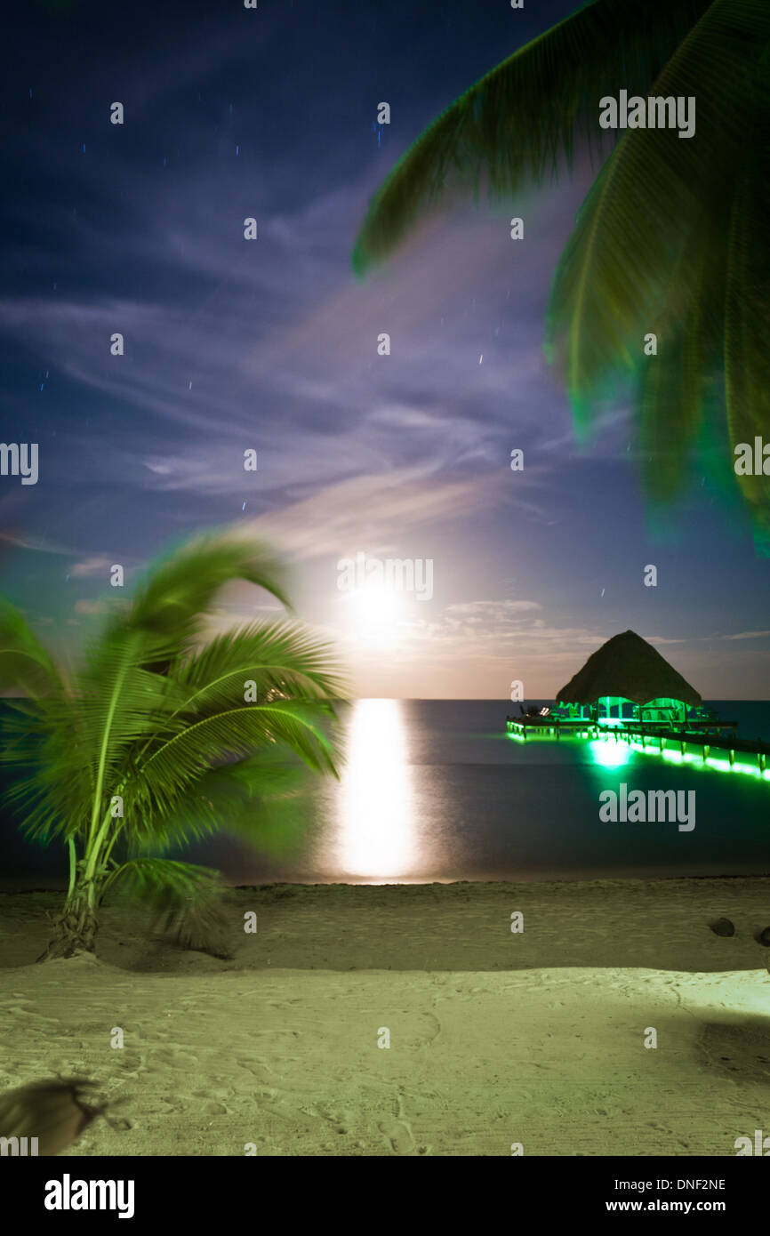 night scene with the moon rising on the caribbean coast with stars ...