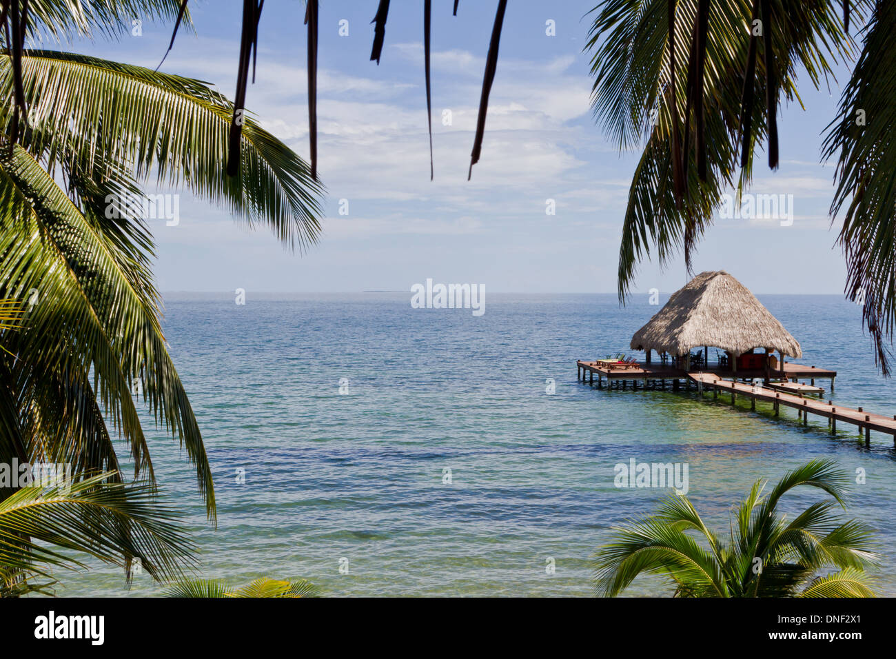 beautiful relaxing beach in a tropical calm part of Belize Stock Photo ...